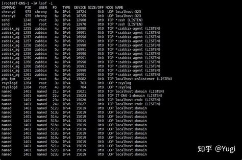 Linux查看端口占用情况 周杰森 博客园