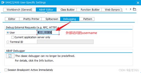 92sap Abap Rfc函数外部调用时的debug 笔记sap Rfc Debug Csdn博客
