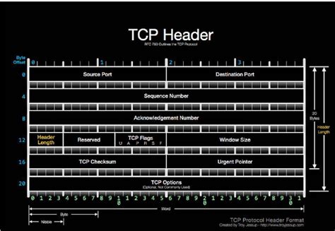 tcp vs udp header information