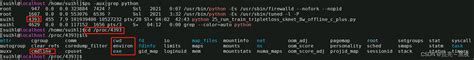 linux上根据运行程序的进程号，查看程序所在的绝对路径。linux查看进程启动的时间 linux ps ef grep python怎么