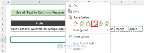 How To Split Comma Separated Values Into Rows Or Columns In Excel
