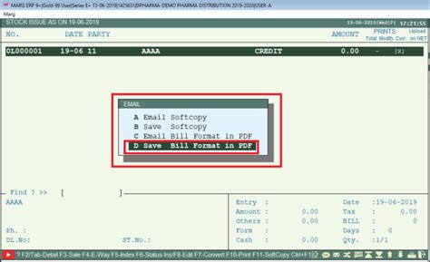 How To Export Selected Stock Issue In Pdf Format In Marg Software