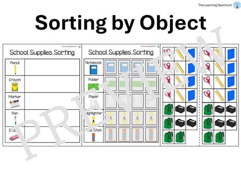 School Supplies Sorting Back To School Object Size Shape And Color