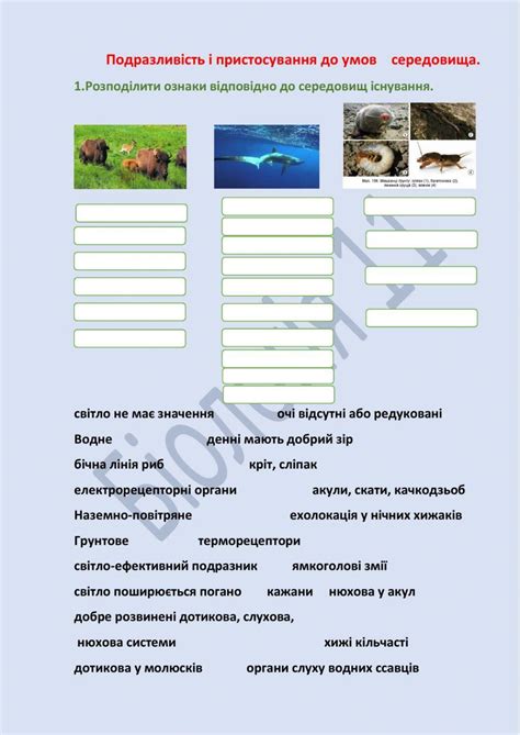 Подразливість і пристосування до умов середовища Worksheet Live Worksheets