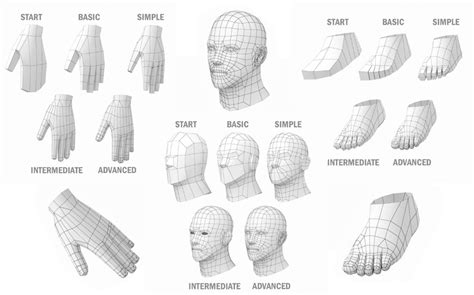 Tutorials : Modeling of Hand, Head and Foot | Layth Jawad | Character modeling, Maya character ...