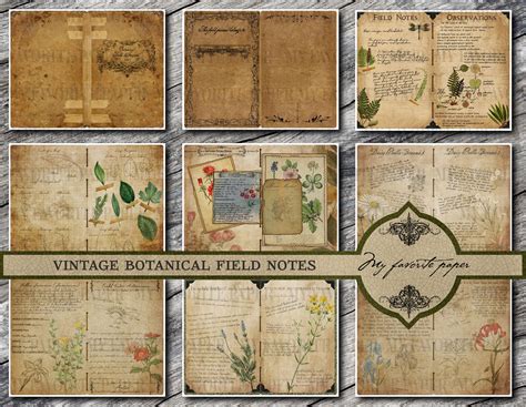 Vintage Botanical Field Notes Journal Kit Etsy