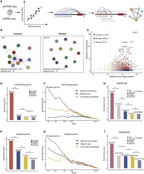 Single-cell chromatin accessibility identifies enhancer networks driving gene expression during ...