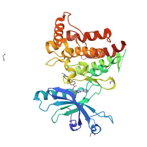 Rcsb Pdb 4bkj Crystal Structure Of The Human Ddr1 Kinase Domain In Complex With Imatinib