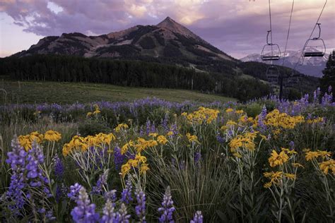 Find Connection And Community In Crested Butte Colorado Tlm