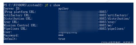 Jfrog Cli改为api Key方式上传jfrog上传的api Csdn博客