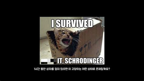 🌟 양자 역학 슈뢰딩거의 고양이 1분 요약 Shorts Youtube