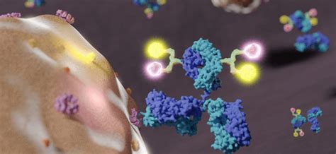 大健康 智璞產業趨勢研究所