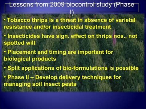 Peanut Insect Pests Ppt Agriculture Industries