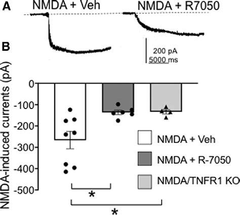 Tnfr1 Activation Plays A Role In Nmda Induced Currents In Pvn Spinal