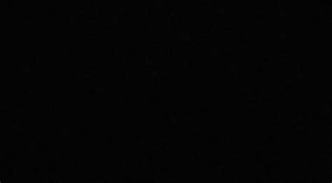 Stegosaurus Sex Party Stegwear Extremely Limited Edition 3 Colour