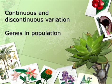 Ppt Continuous And Discontinuous Variation Genes In Population