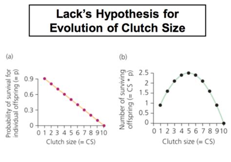 Levels Of Selection Flashcards Quizlet