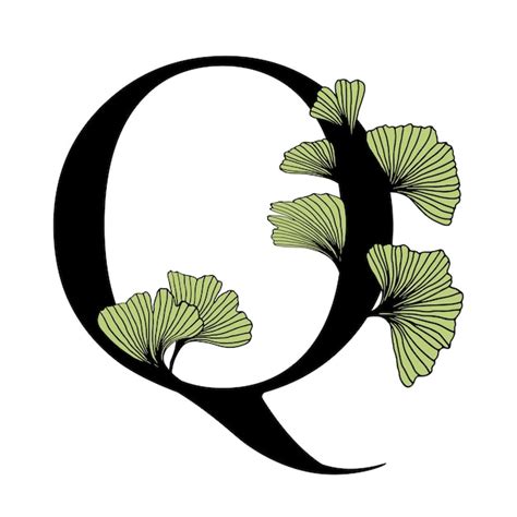 Premium Vector Ginkgo Biloba Leaves Alphabet Badge And Icon In Trendy