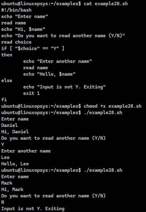 50 Bash Script Examples To Kickstart Your Learning