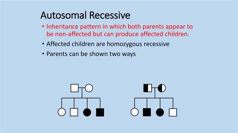 Pedigrees Ppt Download