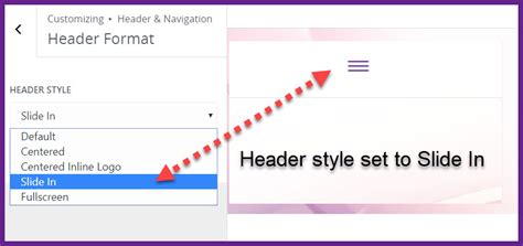 Divi Theme Customizer Monterey Premier