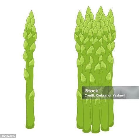 흰색 배경에 고립 된 신선한 아스파라거스 유기농 식품 만화 스타일입니다 벡터 일러스트 레이 션 디자인에 대 한 건강관리와 의술에 대한 스톡 벡터 아트 및 기타 이미지