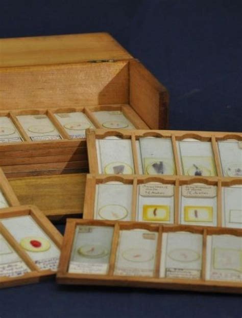 Slides A Old Microscopes Collection