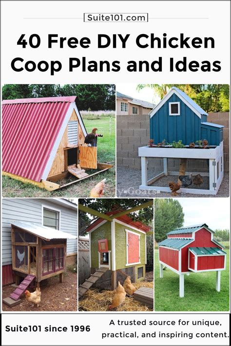 Biggest Chicken Coop In The World