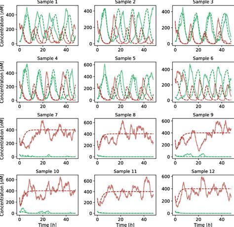comparison of stochastic and deterministic simulations performed on the