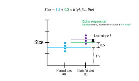 Regularization Ridge L2 Lasso L1 And Elastic Net Regression