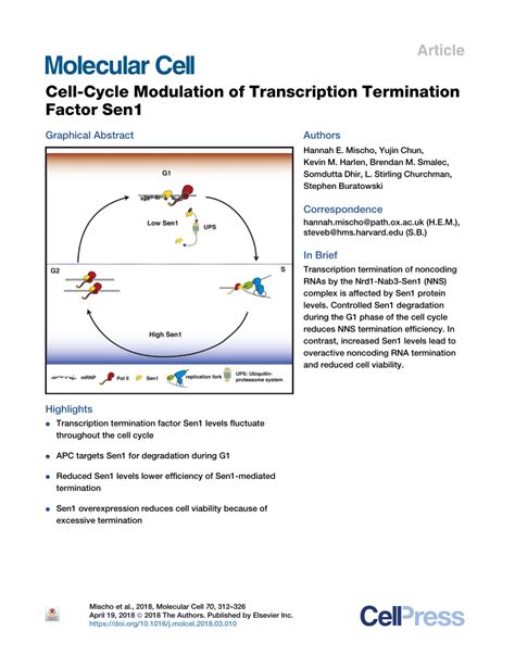 Pdf Cell Cycle Modulation Of Transcription Termination Factor Sen1