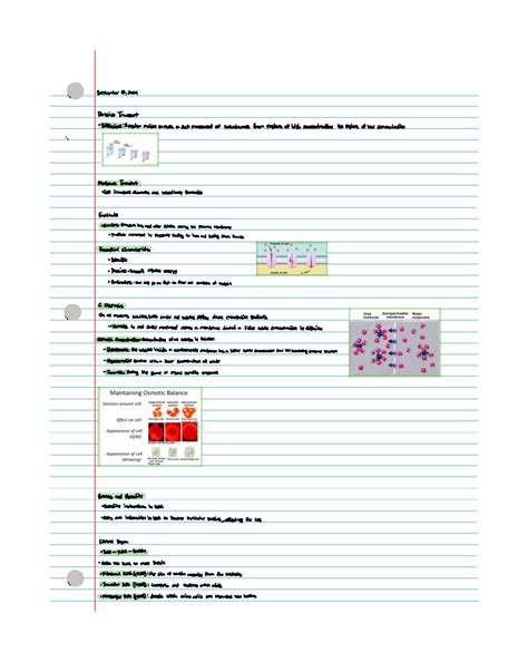 Biology 101 Passive Transport Genes And Heredity Overview