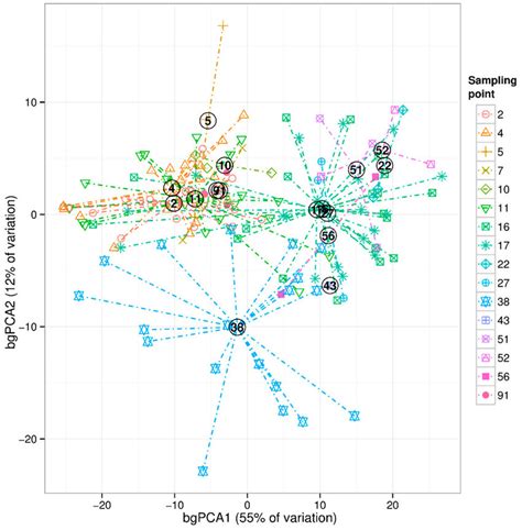 Cyanobacterial Community Composition In Different Basins Sampling Download Scientific Diagram