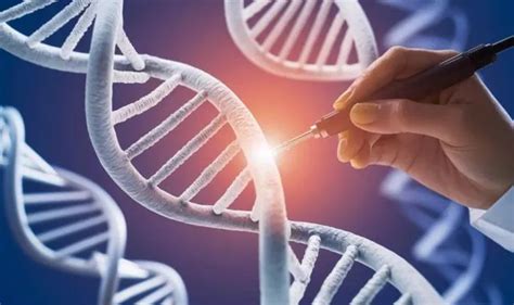 A Guide To Rdna Technology