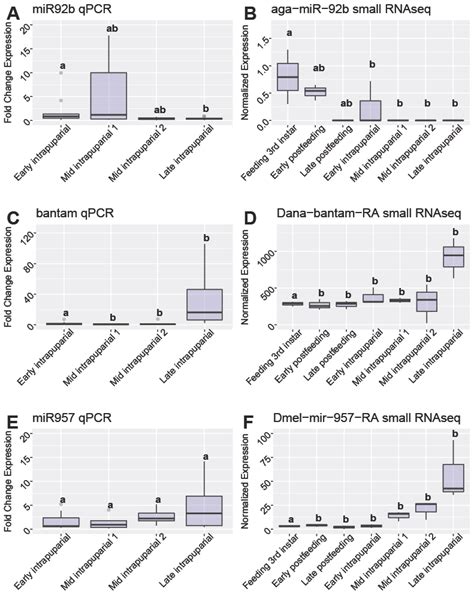Comparison Of Expression Qpcr And Rnaseq Expression Of Qpcr Download Scientific Diagram