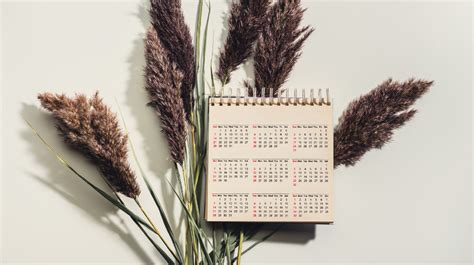 Counting Up Mishpacha Magazine