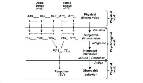 Schematic Diagram Of The Information Integration Theory Adapted From Download Scientific