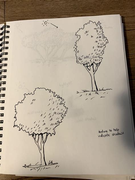 Trees Class Skillshare Babe Project