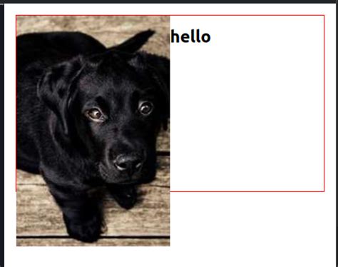 Css How To Have An Image Fit The Height Of Grid Container Stack Overflow