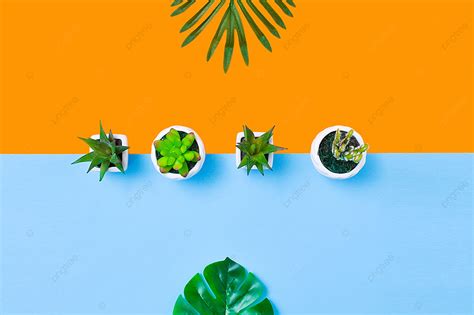 즙이 많은 조합 배경 그림 귀엽다 색깔 틀 배경 일러스트 및 사진 무료 다운로드 Pngtree