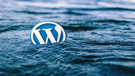 devzet s wordpress elegance crafting unique experiences stars fact