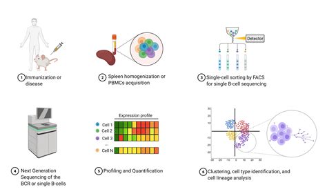 next generation sequencing machine