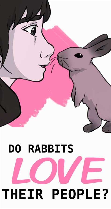 50 Understanding Rabbit Behavior Ideas In 2025 Rabbit Behavior Pet