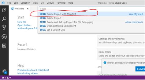 Setting Up Vscode To Edit Salesforce Metadata Katie Kodes