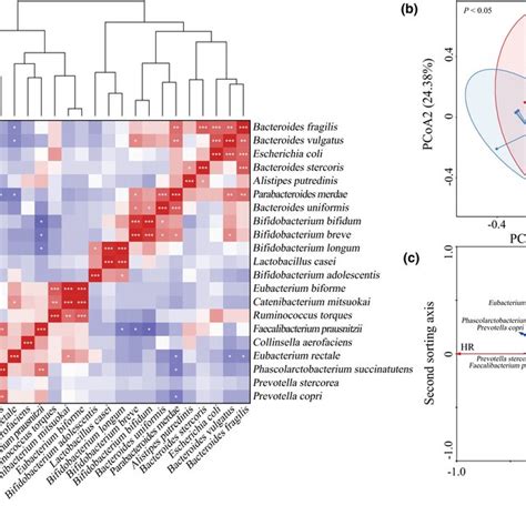 Analysis Of Bacterial Population Structure Based On Multivariate