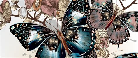 Бабочка арт фото и картинки 69 штук