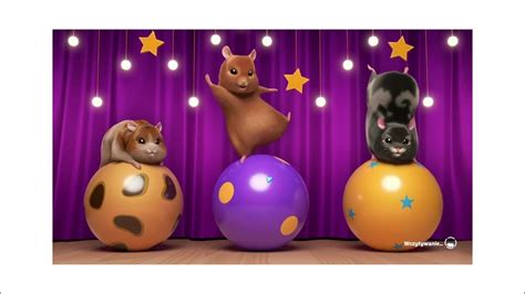 Czy Chomiki Nie Są Słodkie Youtube