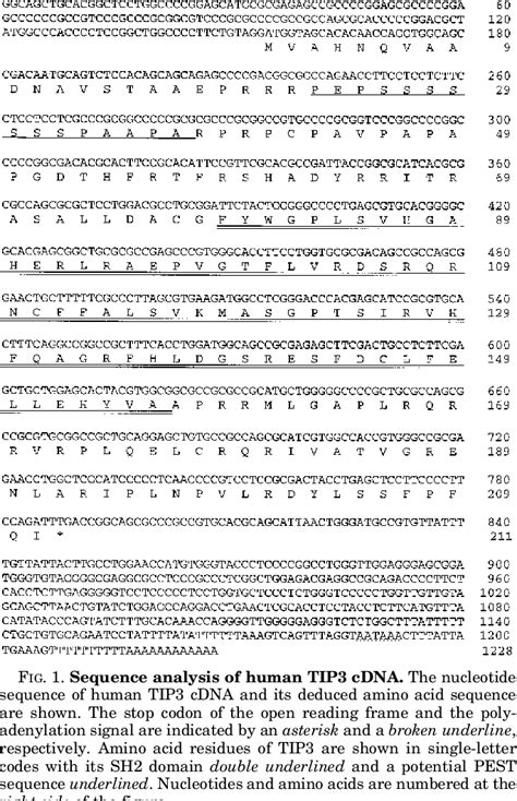 Figure 1 From Socs 1jabssi 1 Can Bind To And Suppress Tec Protein