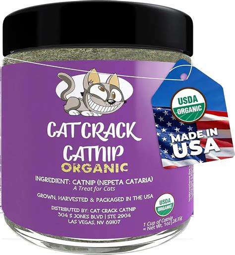 Is It Safe For Humans To Smoke Catnip Exploring The Effects And