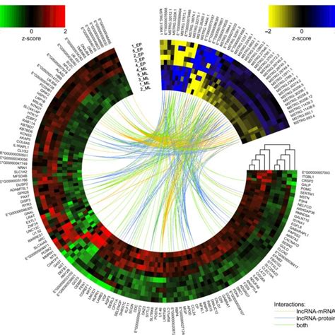 Visualization Of Trans Interactions Occurring Between Differentially